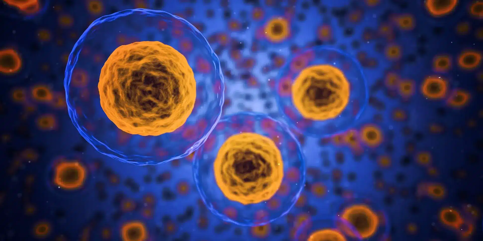 Cientistas fazem célula com Síndrome de Down voltar ao normal - TEX